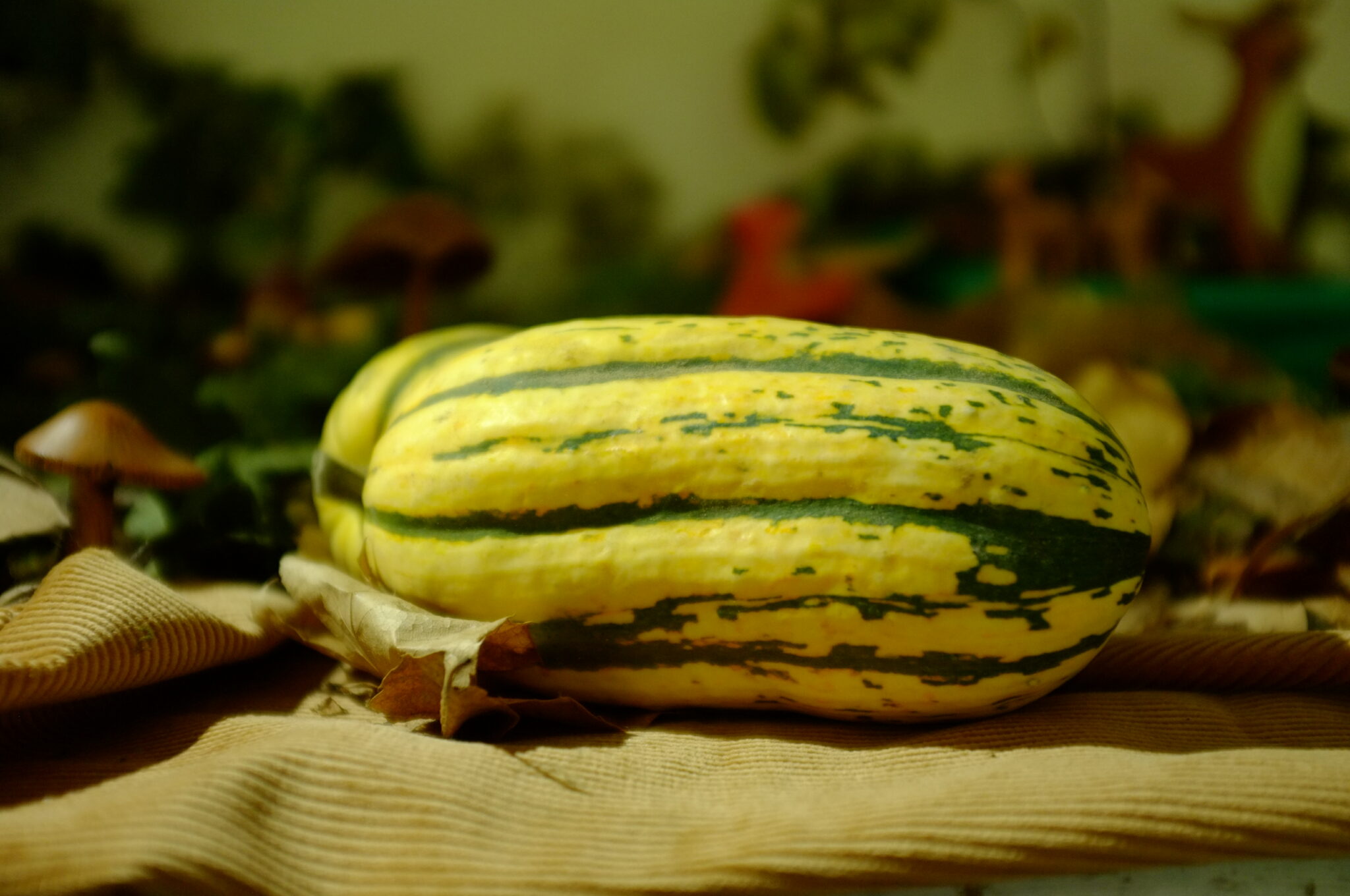 Courge Delicata - BIO - Terraseme